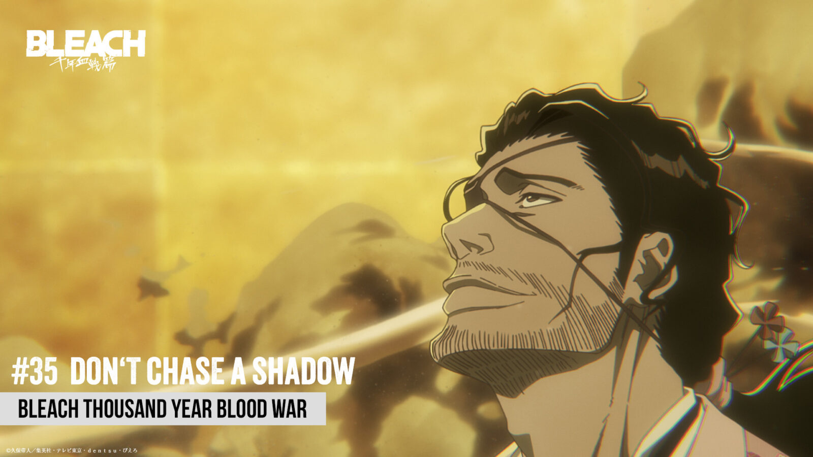 Bleach Thousand-Year Blood War episode 35 - Don't Chase A Shadow