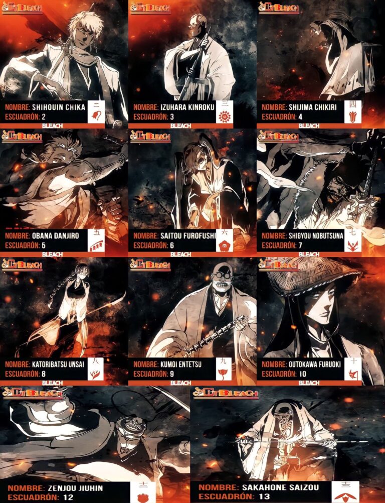 Bleach : Les noms et les divisions du premier Gotei 13 (Les ...